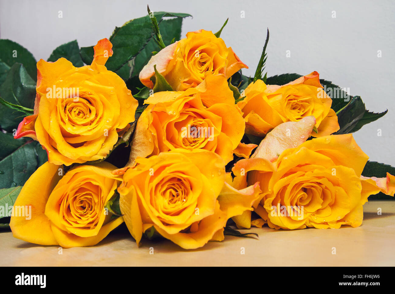 Seven petals hi-res stock photography and images - Alamy