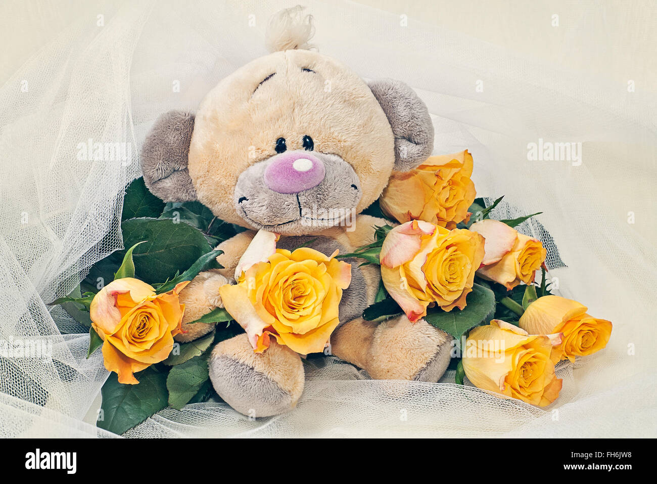 Group roses head cut out hi-res stock photography and images - Alamy
