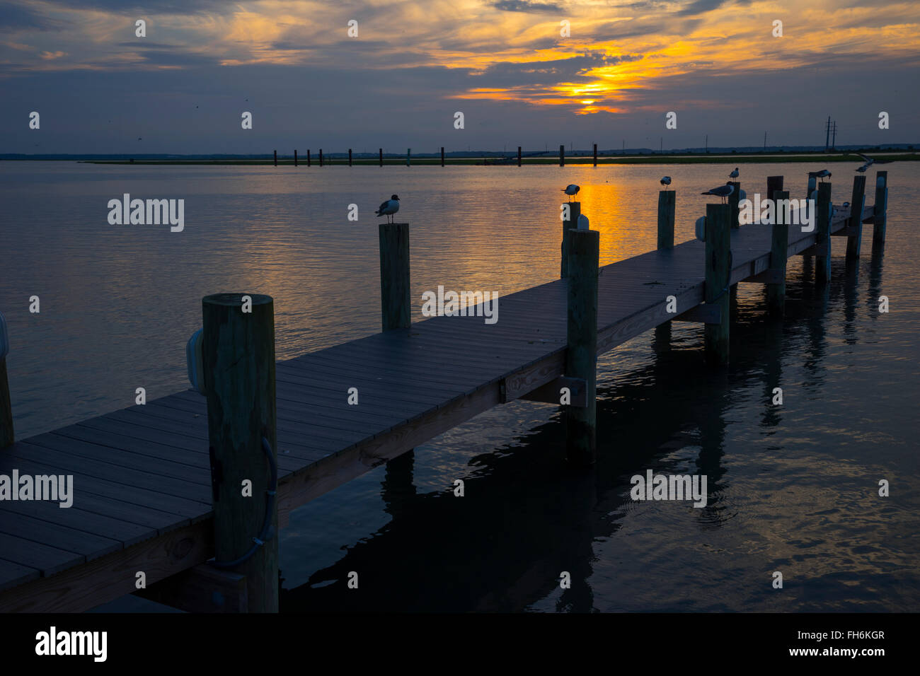 Chincoteague island chincoteague island hi-res stock photography and ...