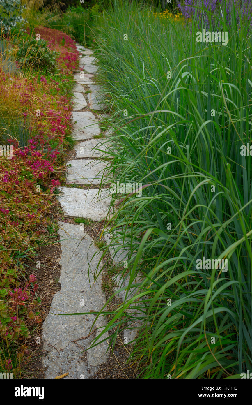 Steamboat Springs Botanic Garden path Stock Photo - Alamy