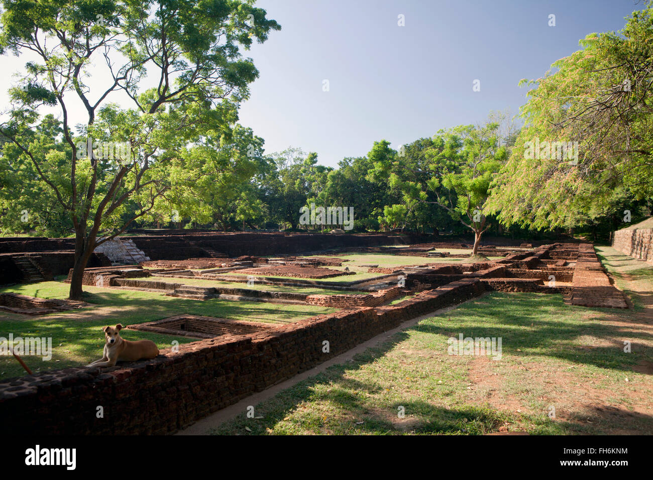 Sigiriya Rock, Sri Lanka Stock Photo - Alamy