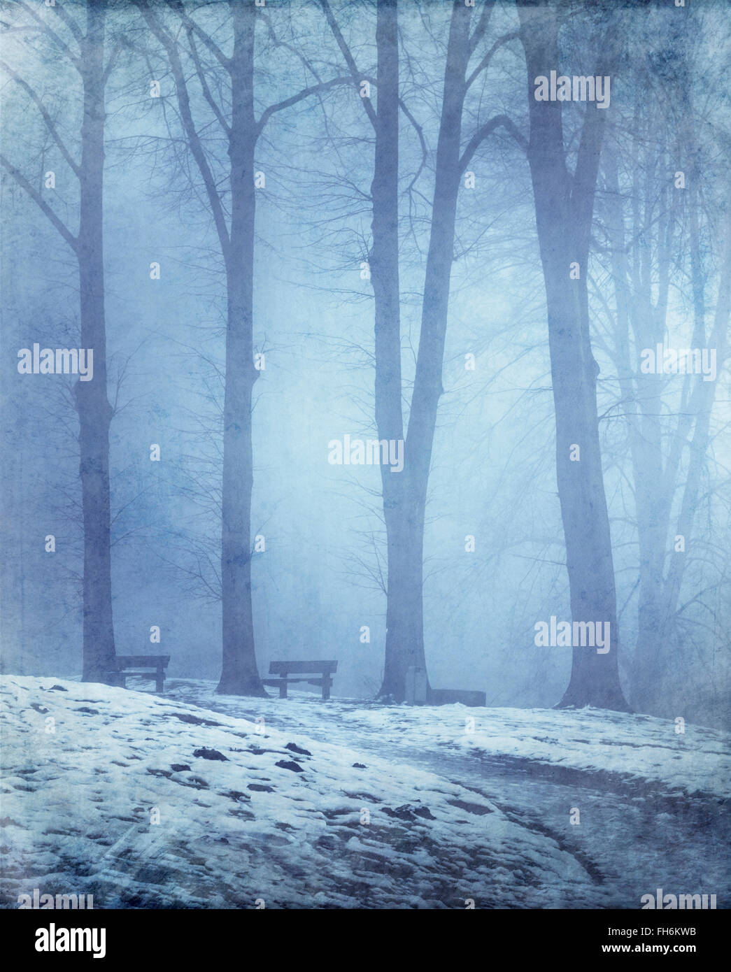 Germany, Empty bench in winter forest Stock Photo - Alamy