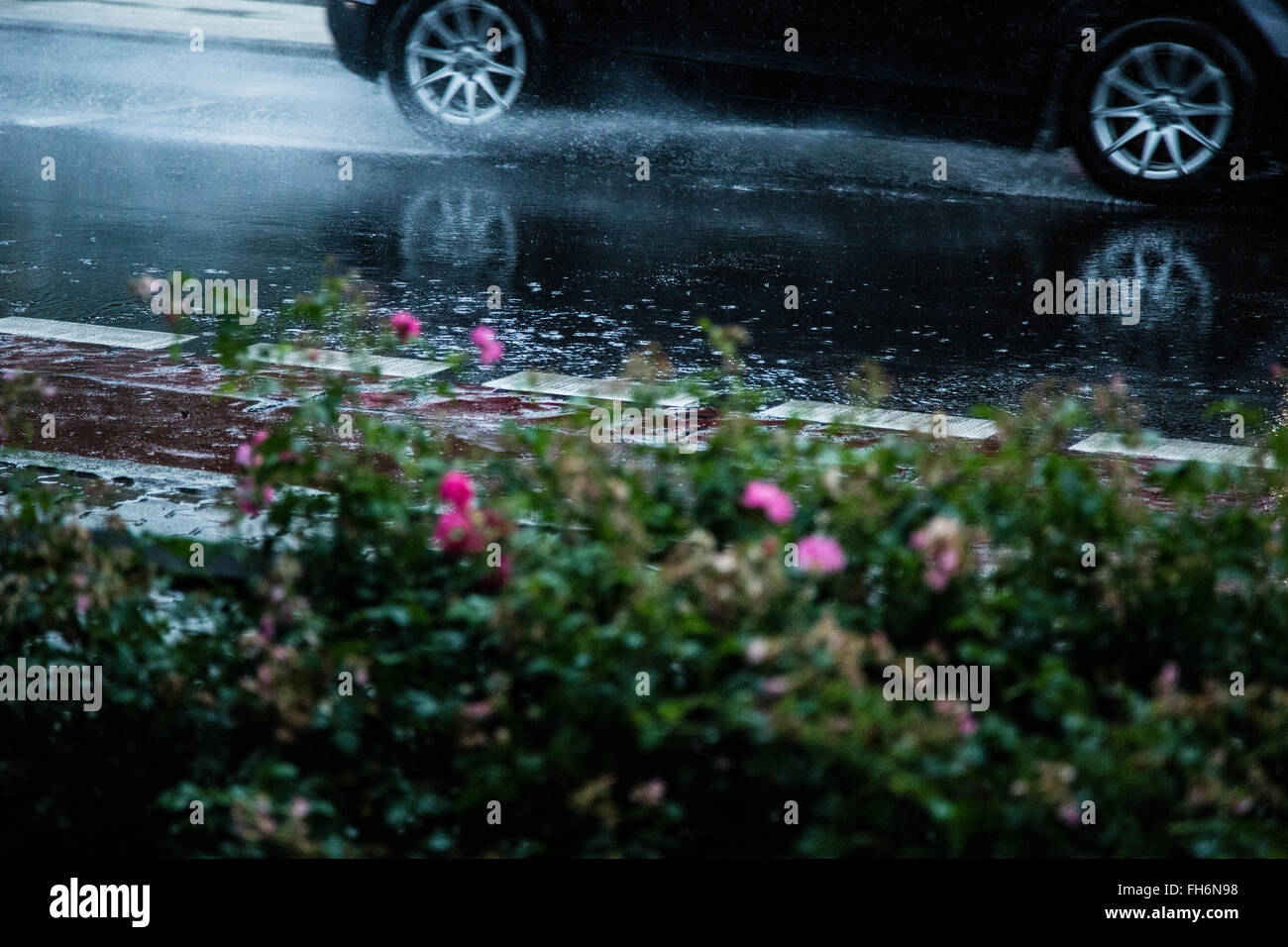 Car driving of wet street Stock Photo - Alamy