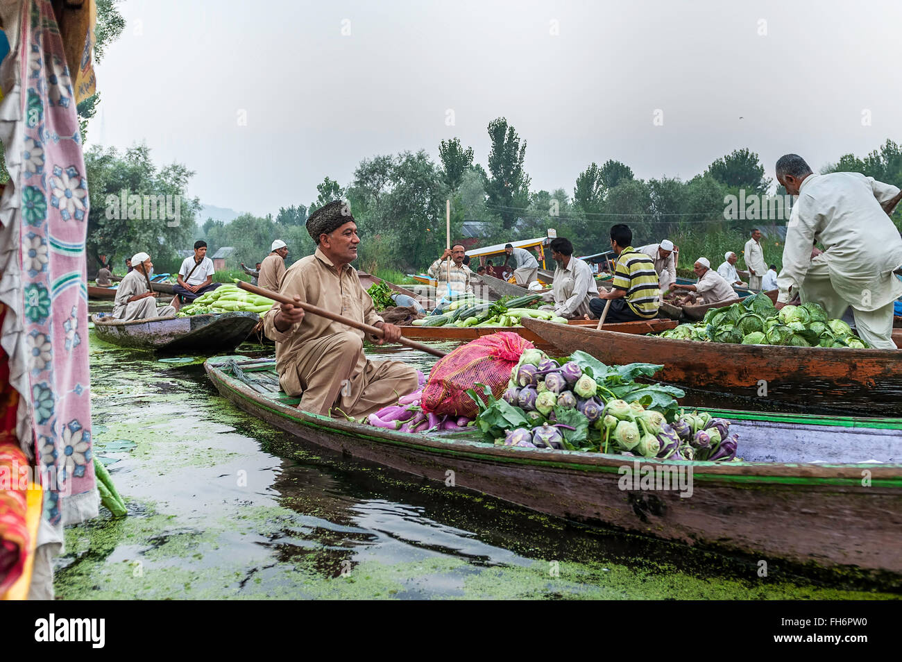 Early Morning vegetables, market on Dal Lake, Srinagar Stock Photo - Alamy