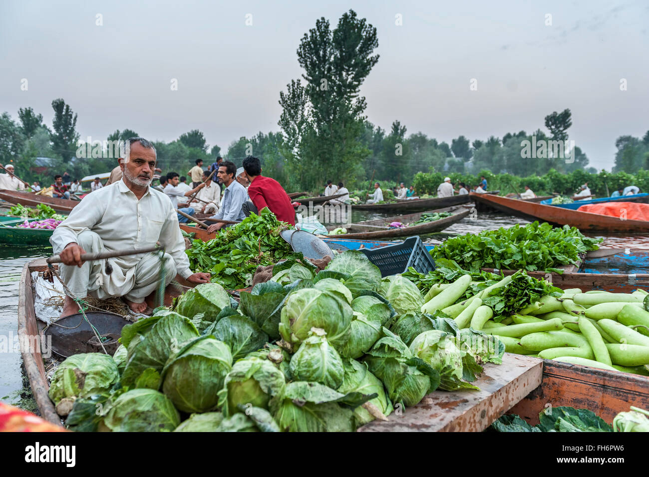 Early Morning vegetables, market on Dal Lake, Srinagar Stock Photo - Alamy