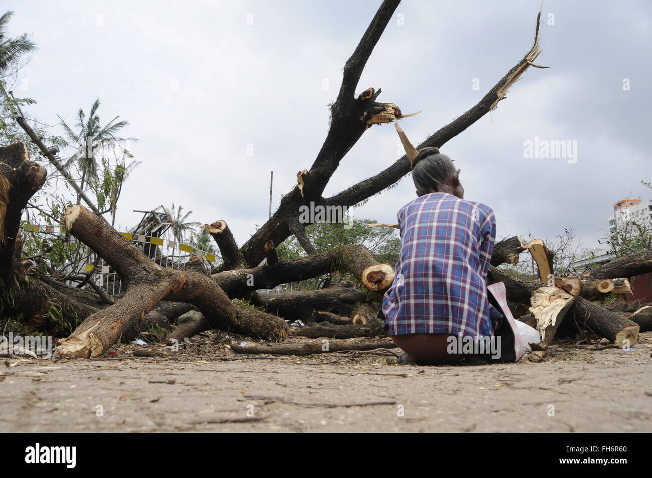A local woman surveys the devastation done by Cyclone Nargis in the ...