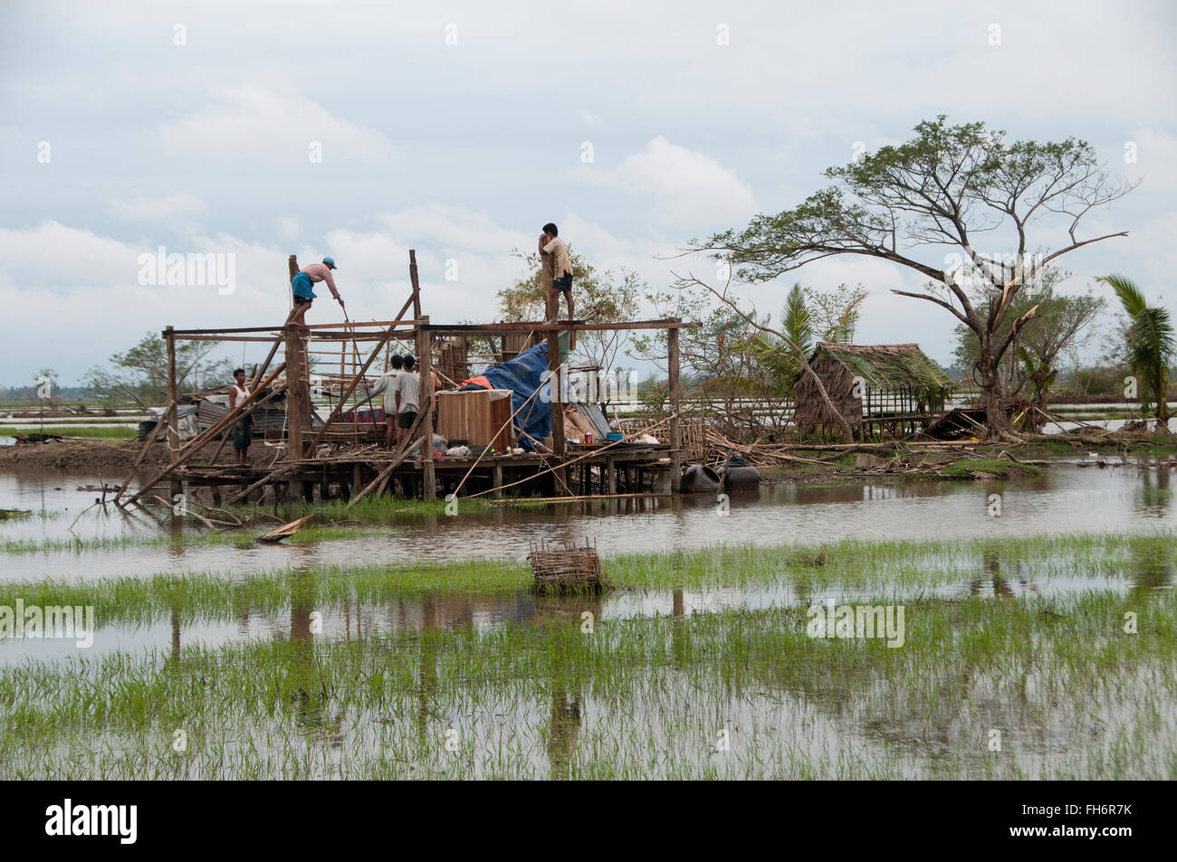 Survivors of the cyclone Nargis rebuild a wooden house in a flooded ...