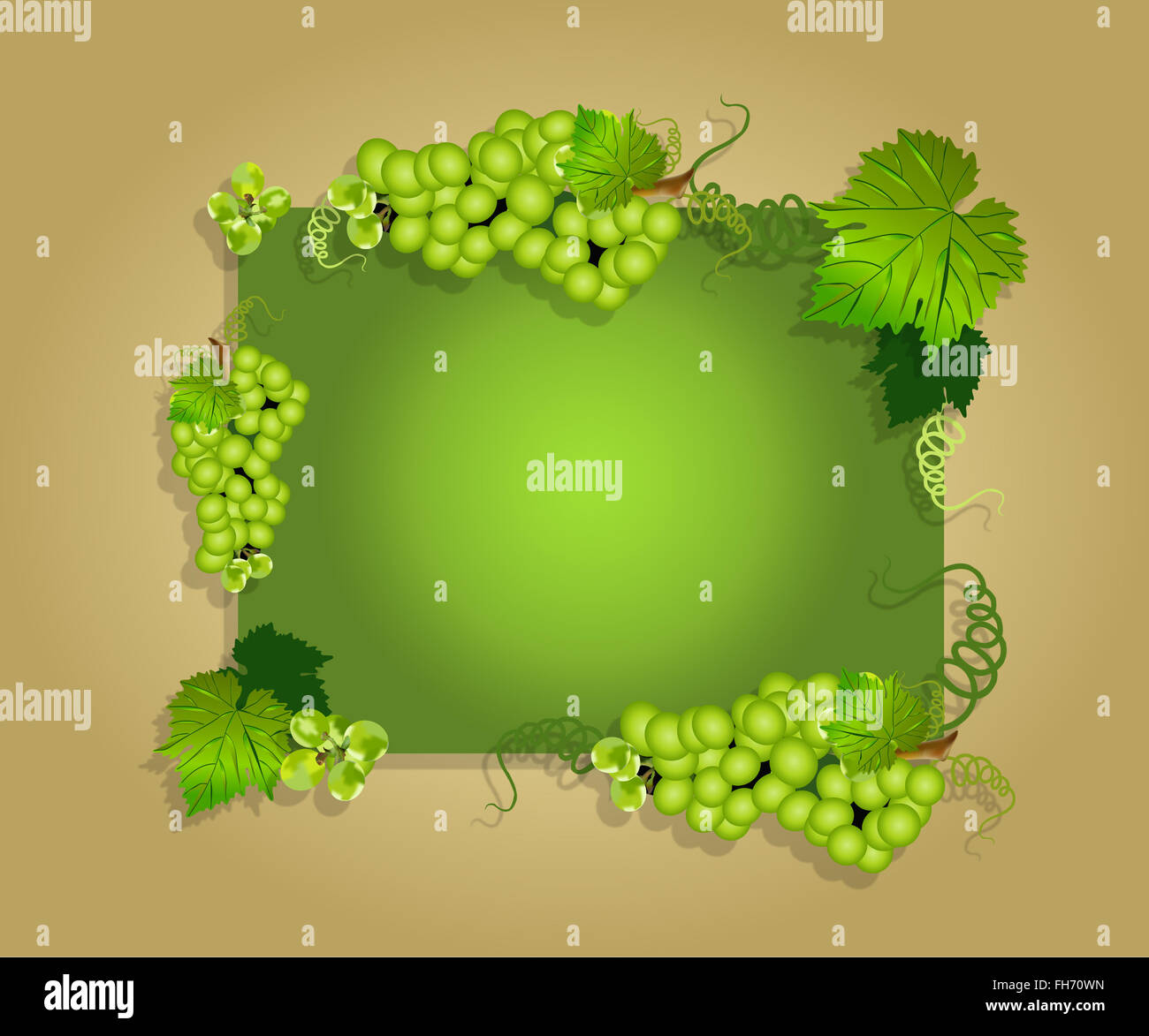 green grape background,fruits,Green grape, sour fruit,wallpaper ...