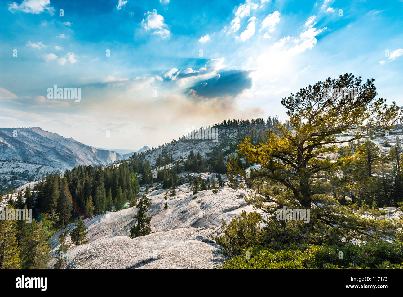 Olmsted point yosemite hi-res stock photography and images - Alamy