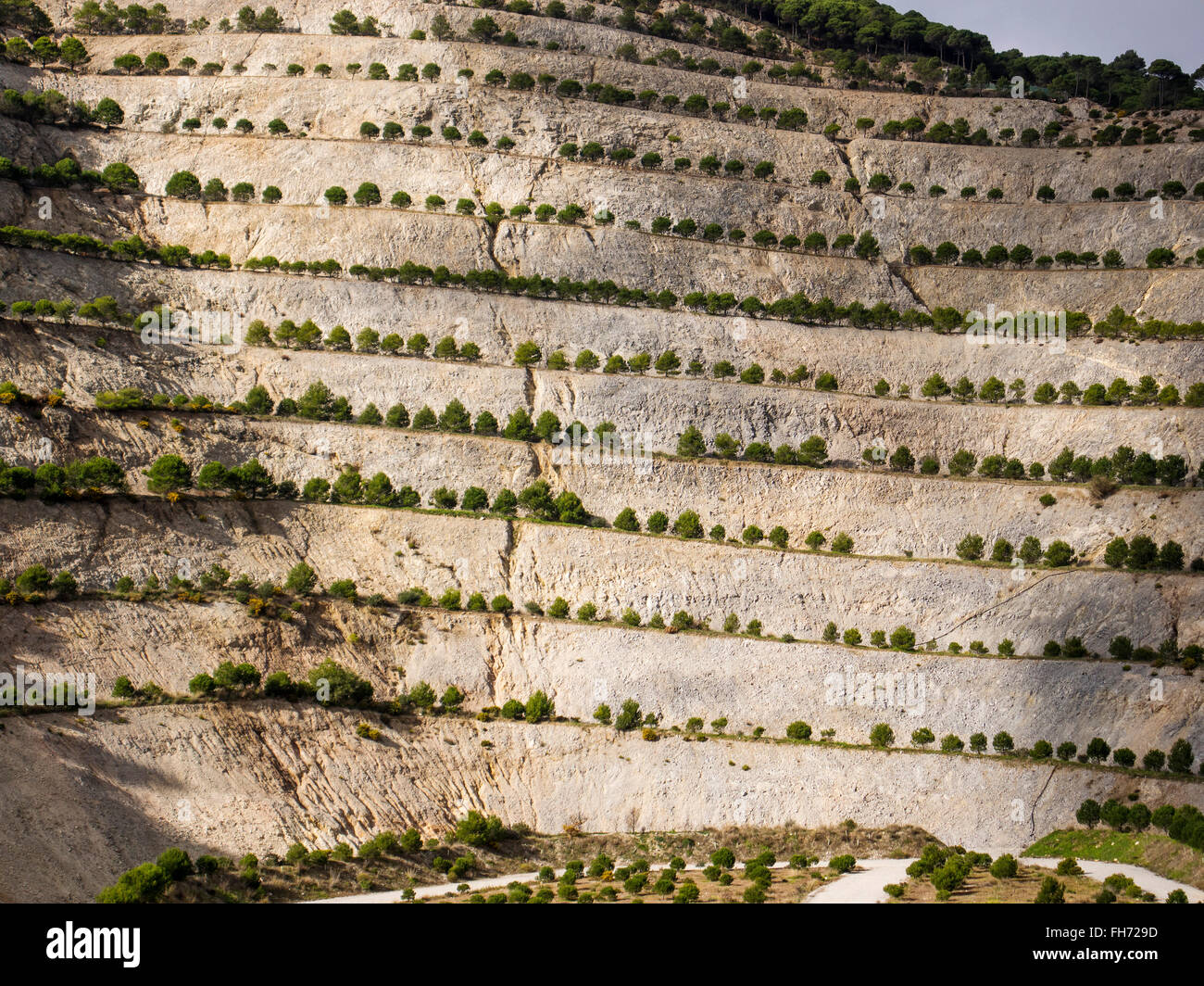 Aggregates quarry reforestation, Mijas Malaga province, Costa del Sol ...