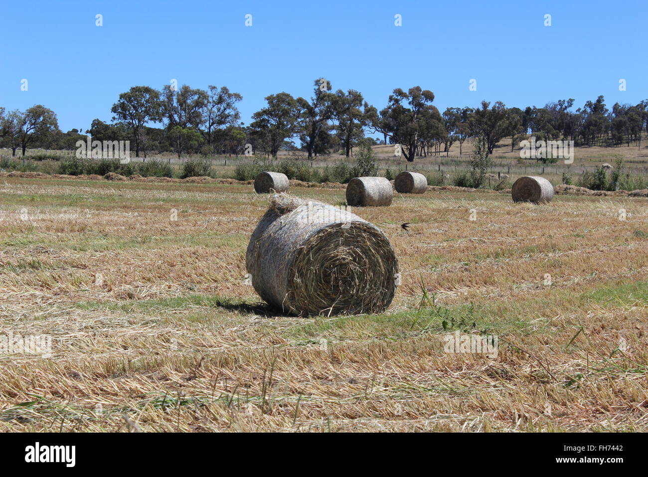 Hay Stacks in the country Stock Photo - Alamy