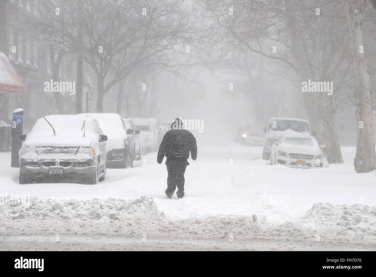 Winter Storm Jonas causes blizzard conditions, with up to two feet of ...