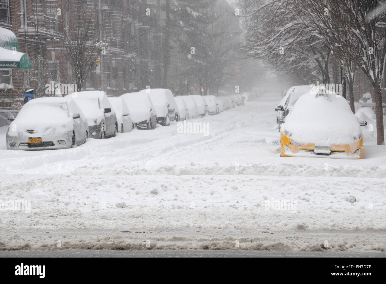 Winter Storm Jonas causes blizzard conditions, with up to two feet of ...