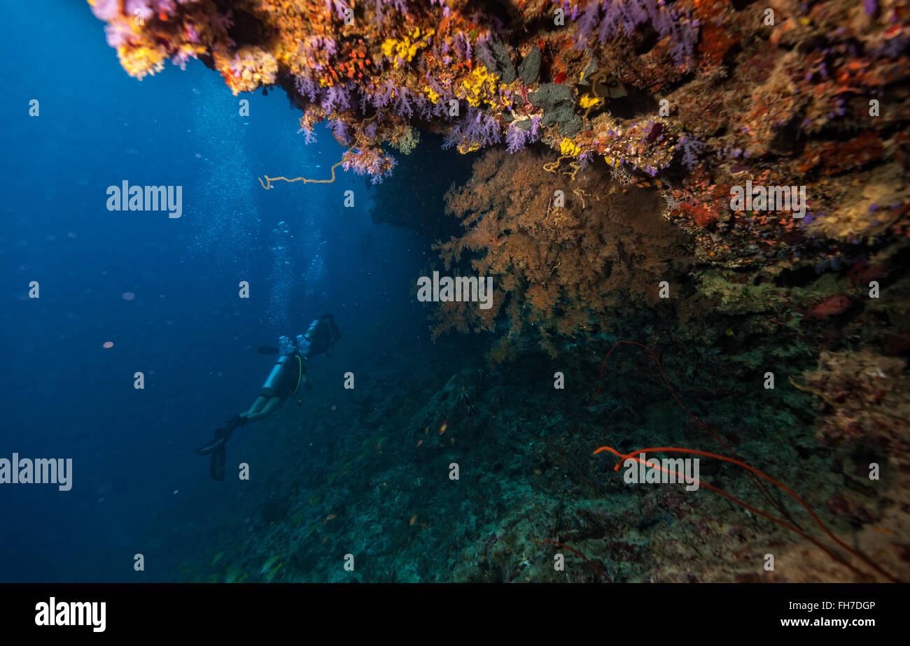 Group of scuba divers underwater Stock Photo - Alamy