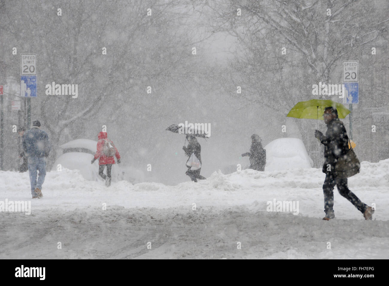 Winter Storm Jonas causes blizzard conditions, with up to two feet of ...