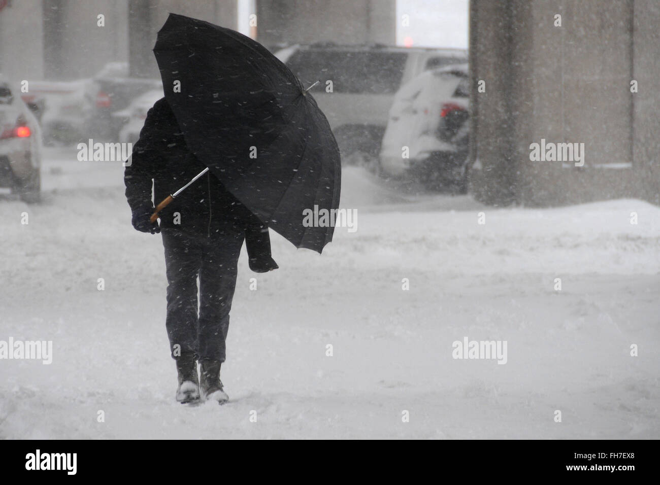 Winter Storm Jonas causes blizzard conditions, with up to two feet of ...