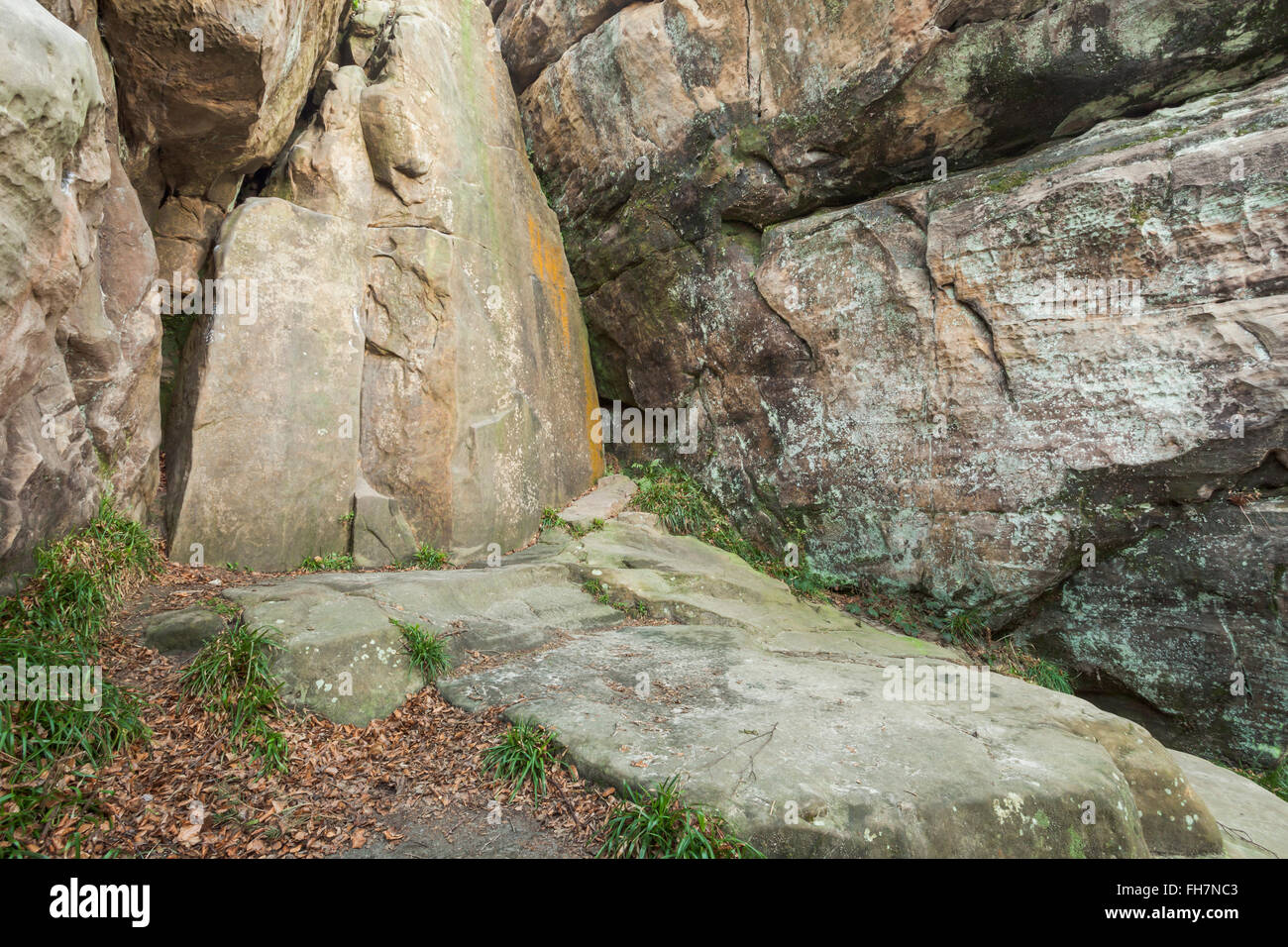 Harrison's rocks sussex hi-res stock photography and images - Alamy