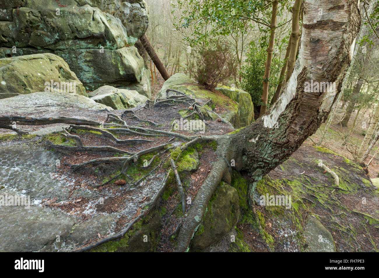 Sandstone outcrop hi-res stock photography and images - Alamy