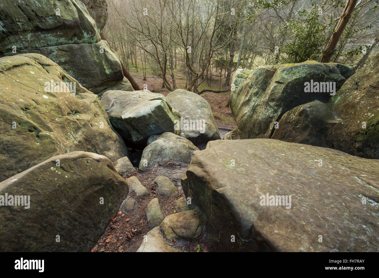 Evening at Harrison's Rocks, sandstone outcrop near Groombrisdge, East ...