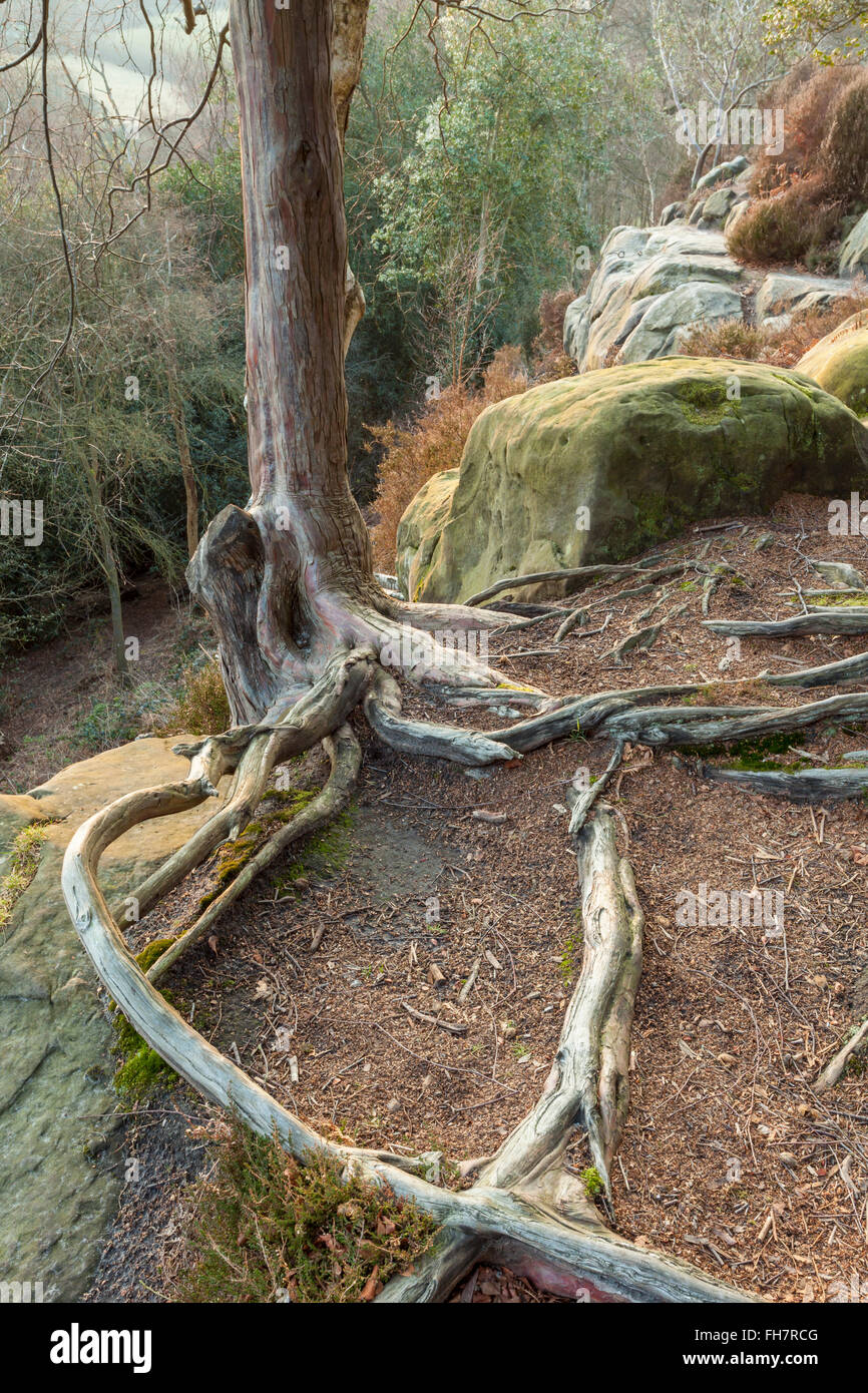 Harrison’s rocks hi-res stock photography and images - Alamy