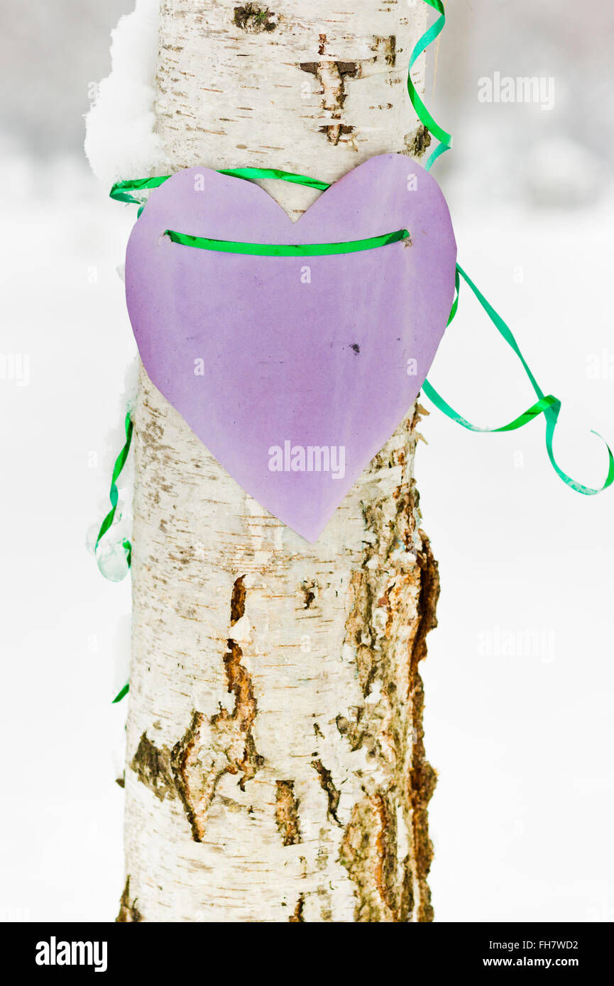 purple paper heart tied to a birch tree with a green tie Stock Photo ...