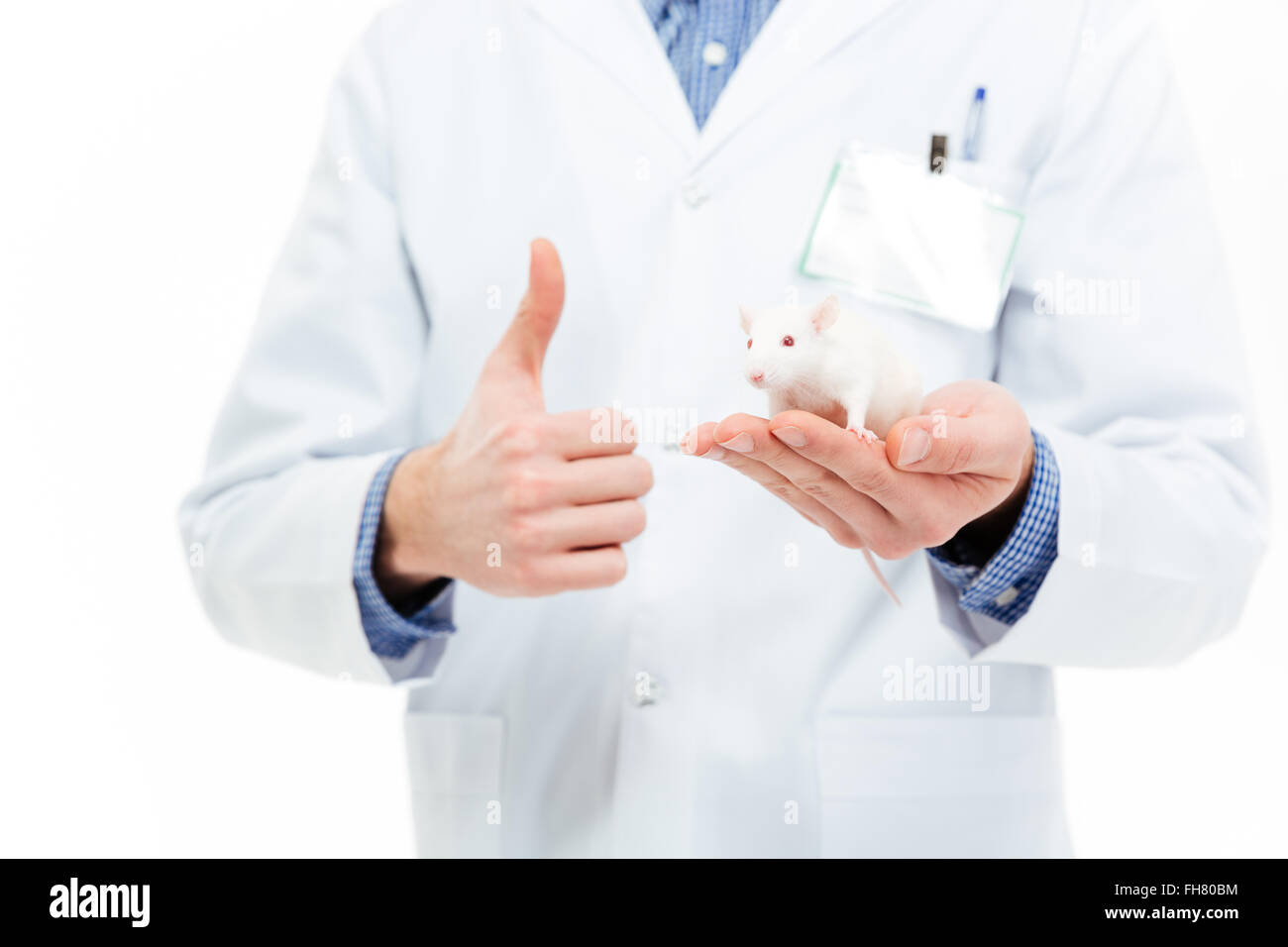 Chemist holding rat and showing thumb up isolated on a white background ...