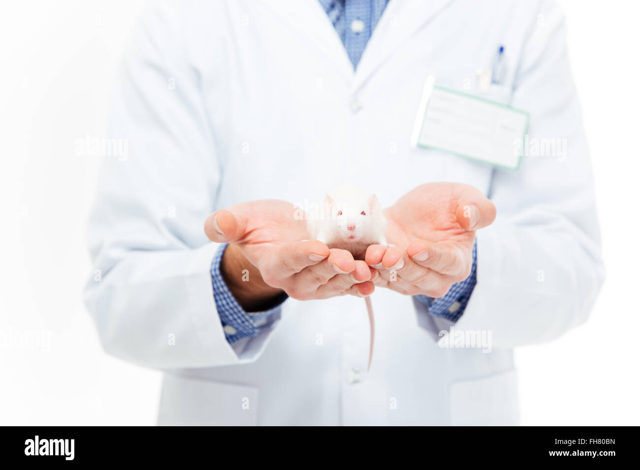 Chemist holding rat isolated on a white background Stock Photo - Alamy