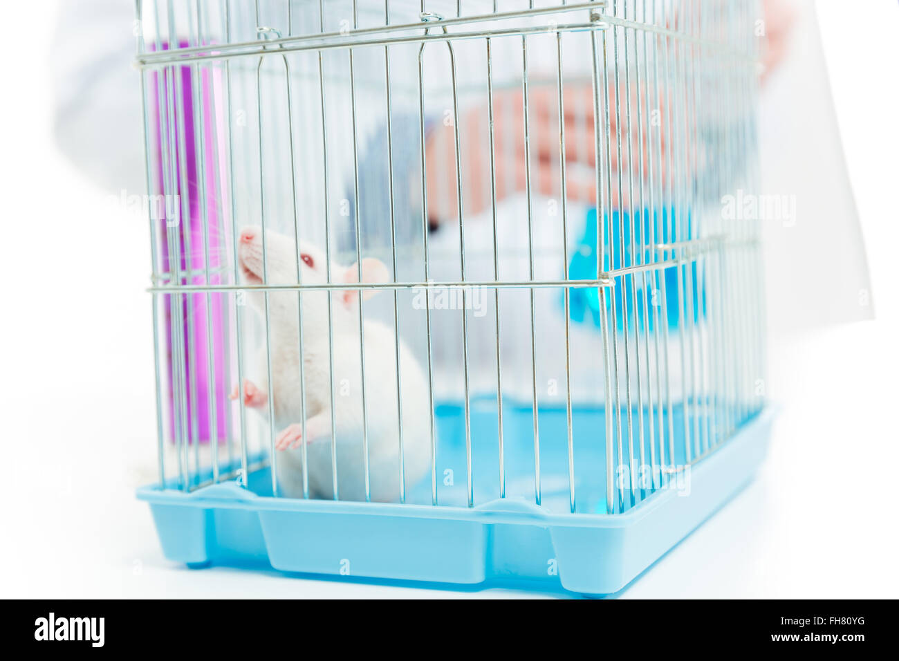 Lab rat cage hi-res stock photography and images - Alamy