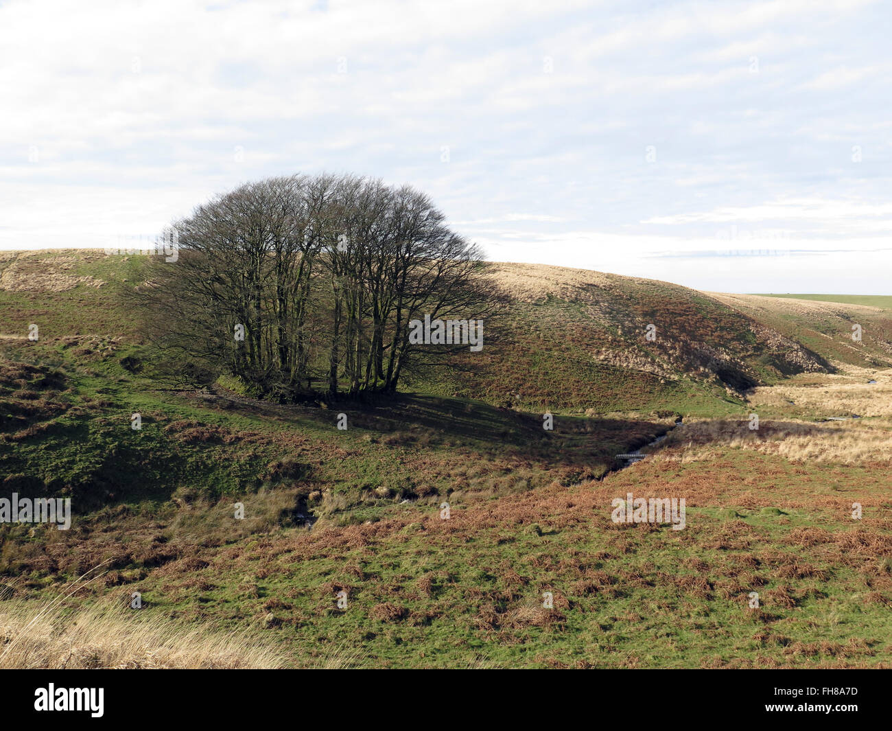 Exmoor: Chalk Water & sheepfold Stock Photo - Alamy
