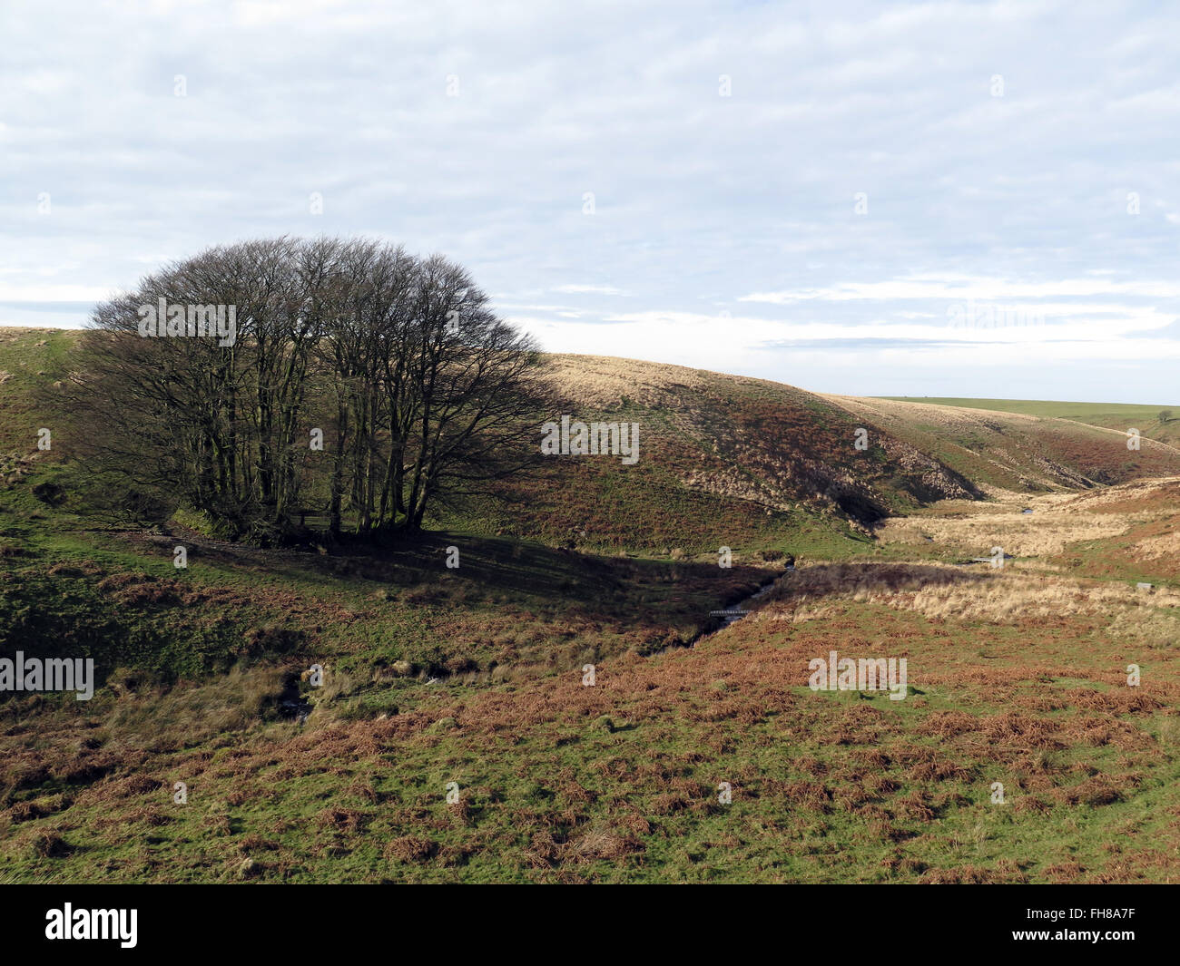 Exmoor: Chalk Water & sheepfold Stock Photo - Alamy