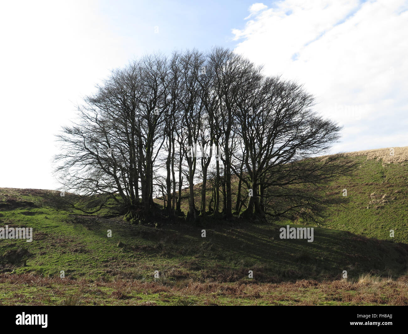 Ancient sheep fold hi-res stock photography and images - Alamy