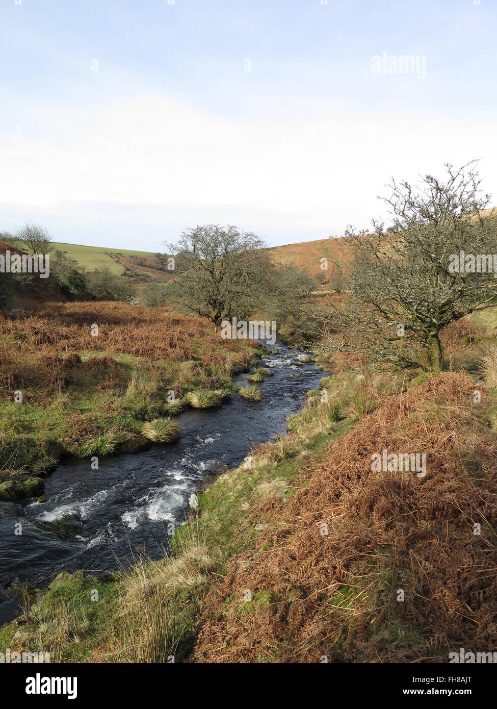 Exmoor national park moorland hi-res stock photography and images - Alamy