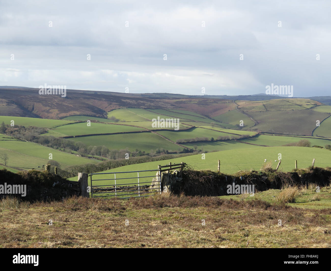 Exmoor farmland with moor on horizon Stock Photo - Alamy