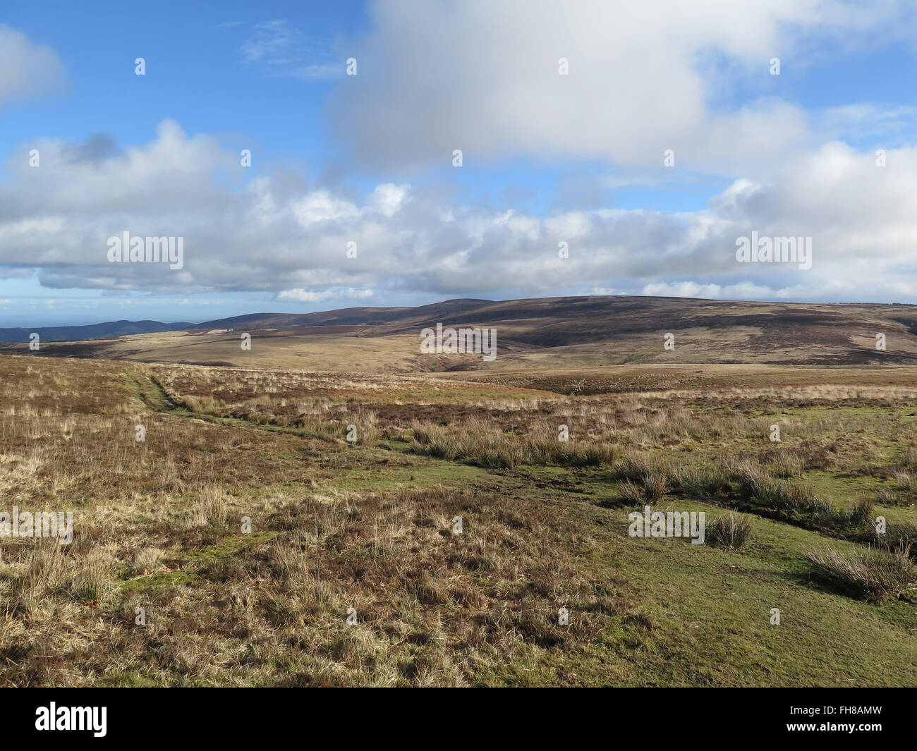 Dunkery beacon hi-res stock photography and images - Alamy
