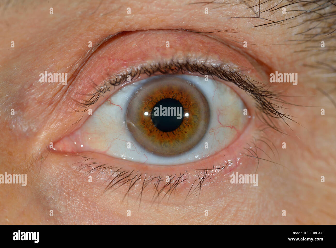 Human male eye Stock Photo - Alamy