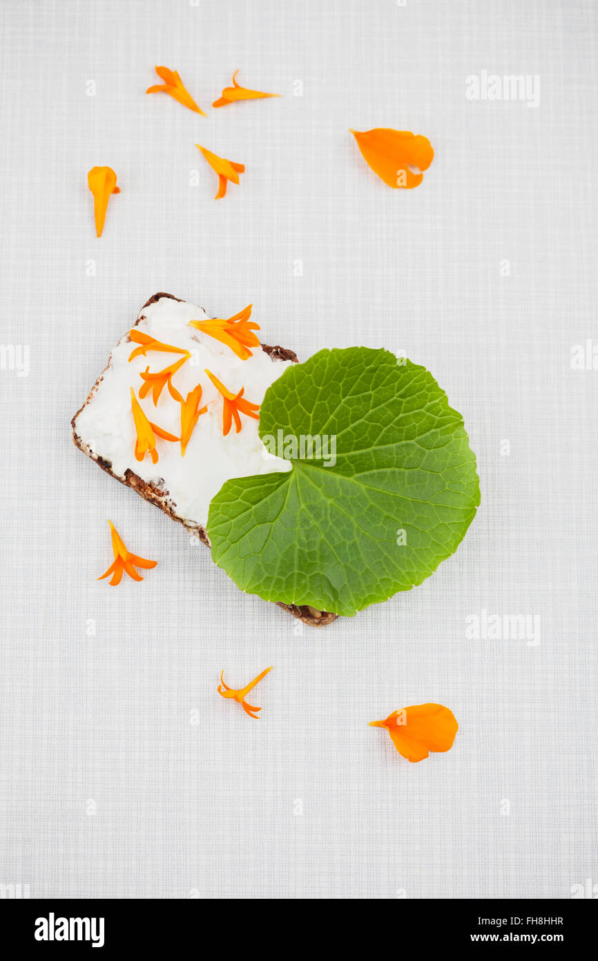 Slice of bread with cream cheese, wasabi leaf and petals of marigold ...