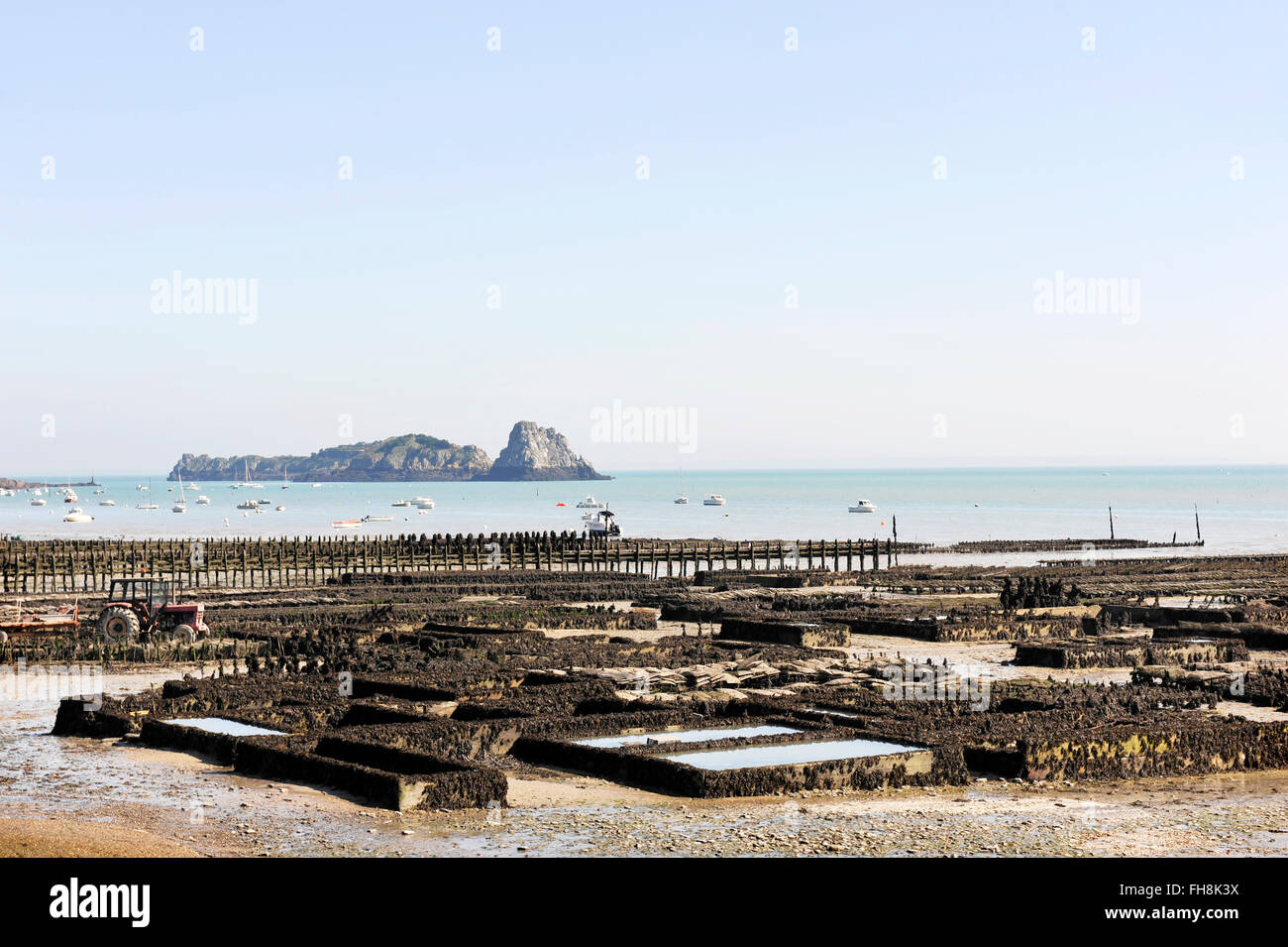 Oyster bed in Cancale, Parc Saint-Kerber, France Stock Photo - Alamy