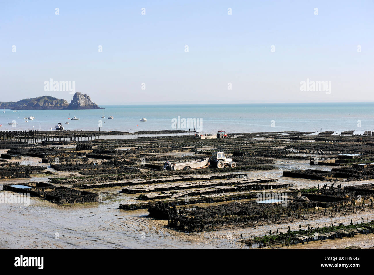 Saint kerber hi-res stock photography and images - Alamy