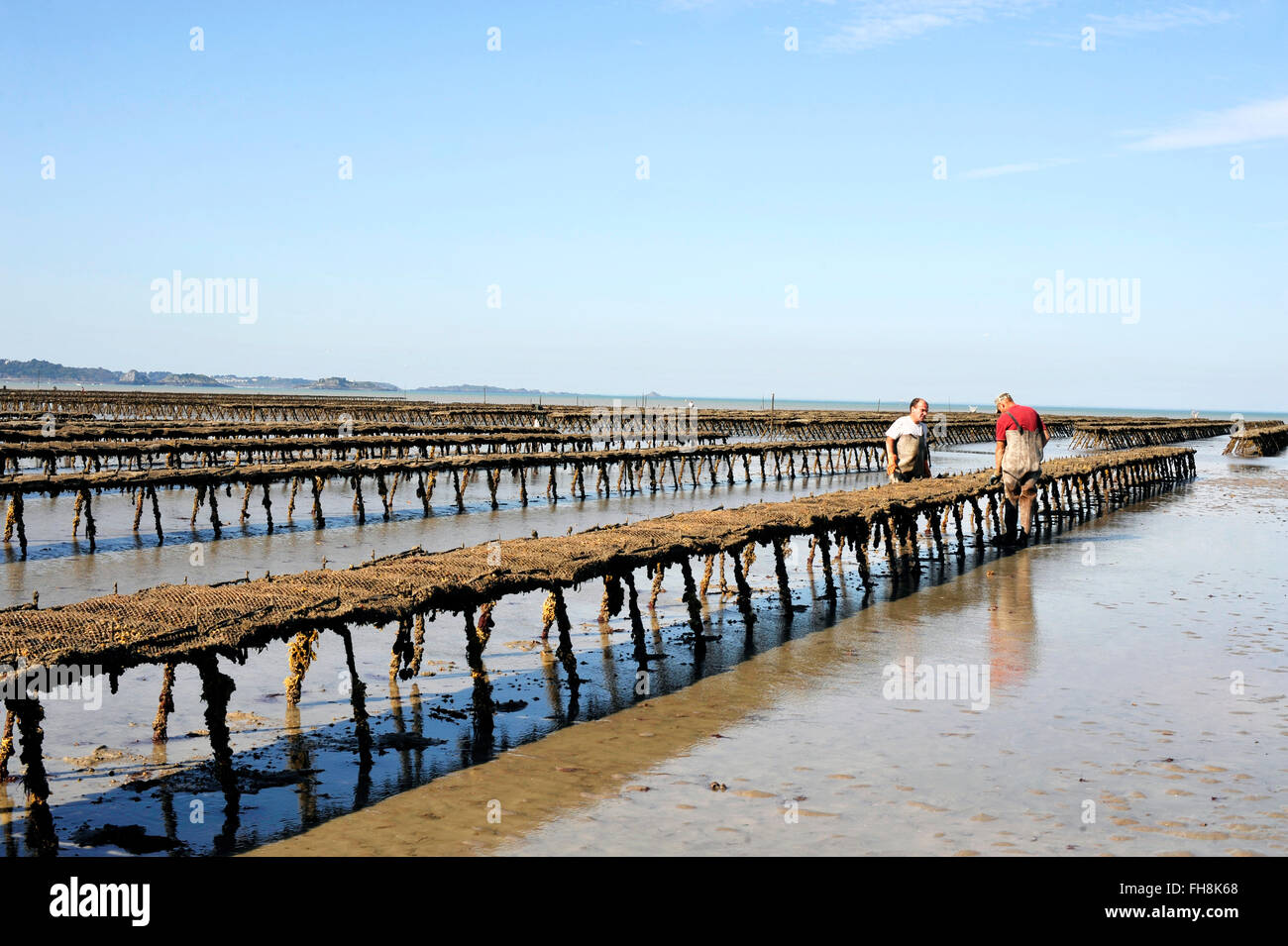 Saint kerber hi-res stock photography and images - Alamy