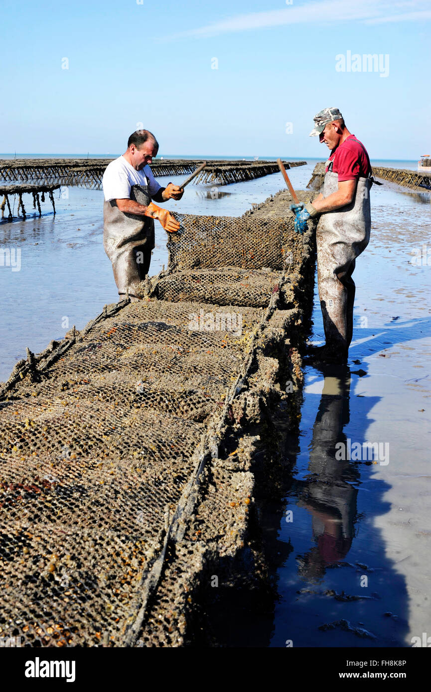 Saint kerber hi-res stock photography and images - Alamy