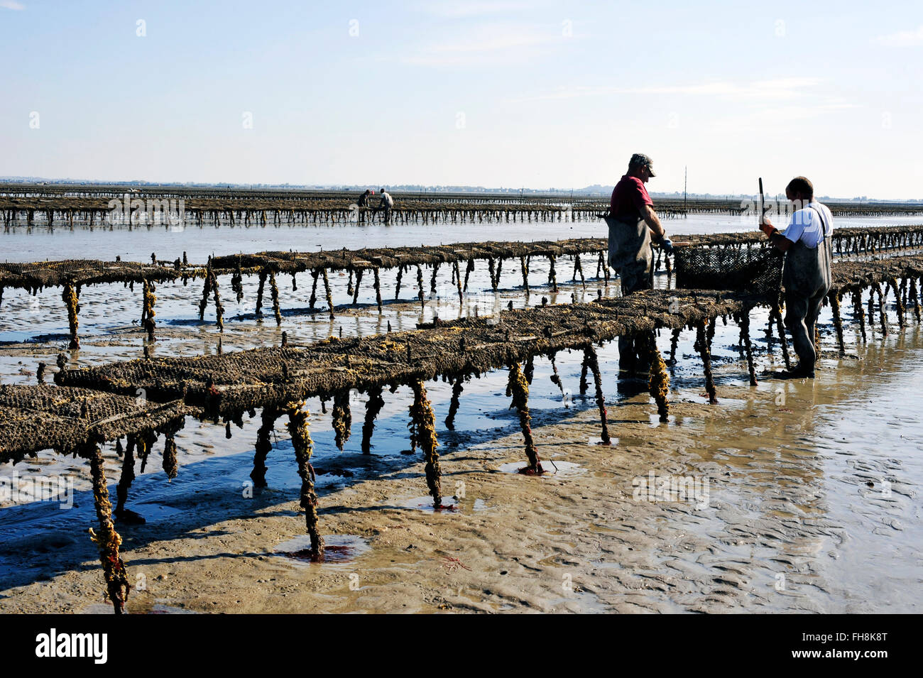 Saint kerber hi-res stock photography and images - Alamy