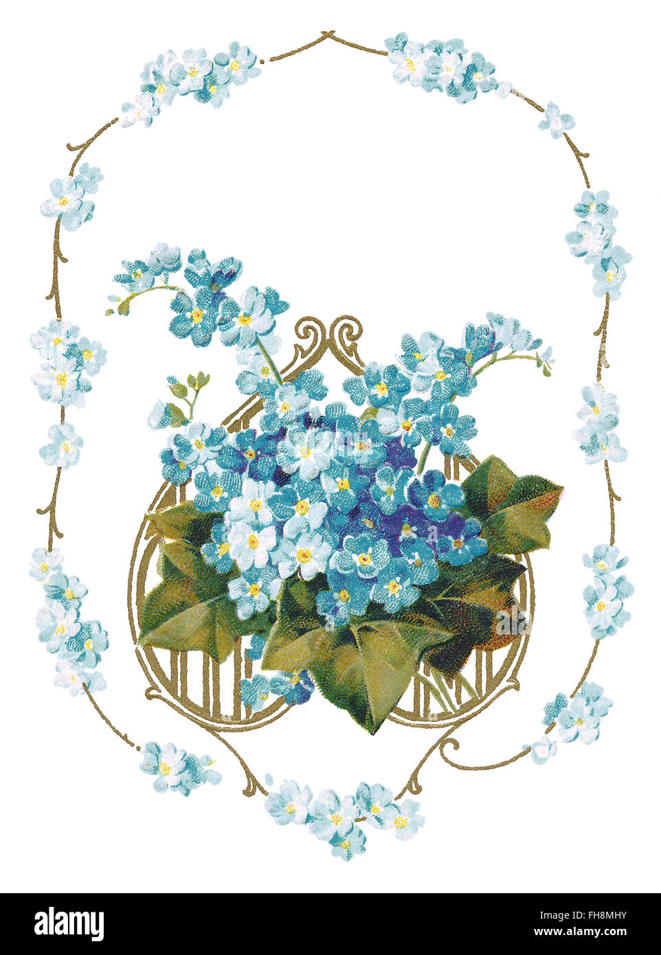 Alaska forget me not Cut Out Stock Images & Pictures - Alamy