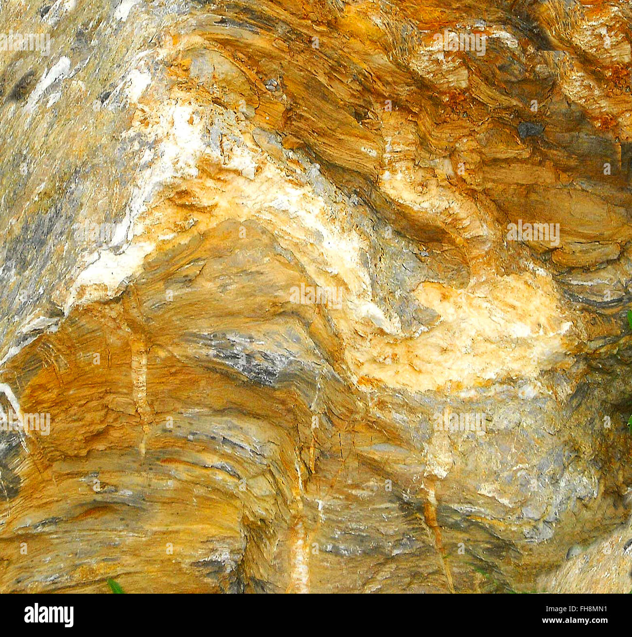 Abstract designs based on geological and other natural materials Stock ...