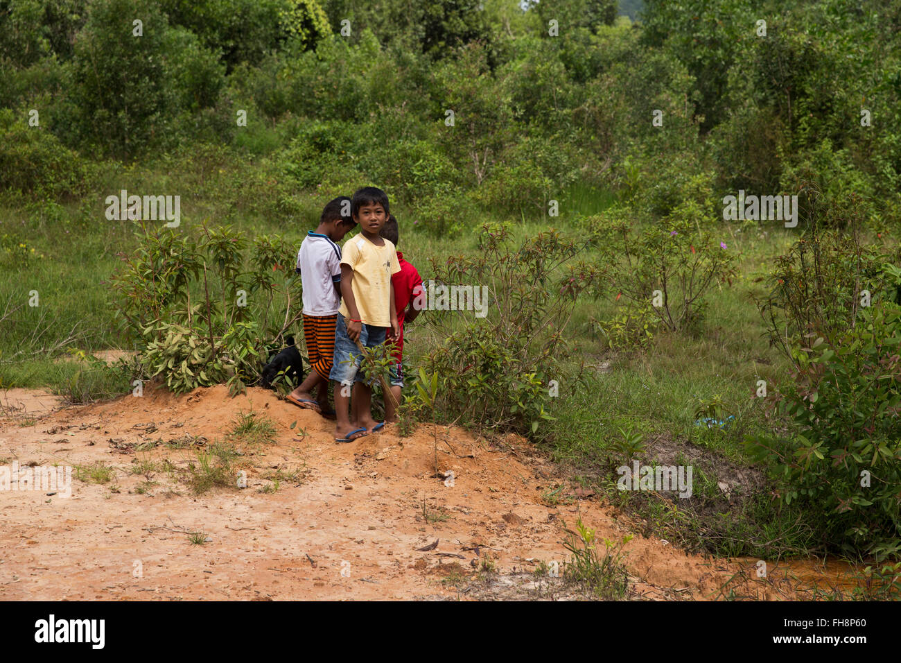 kids in Cambodian countryside, Sihanoukville, Cambodia Stock Photo - Alamy