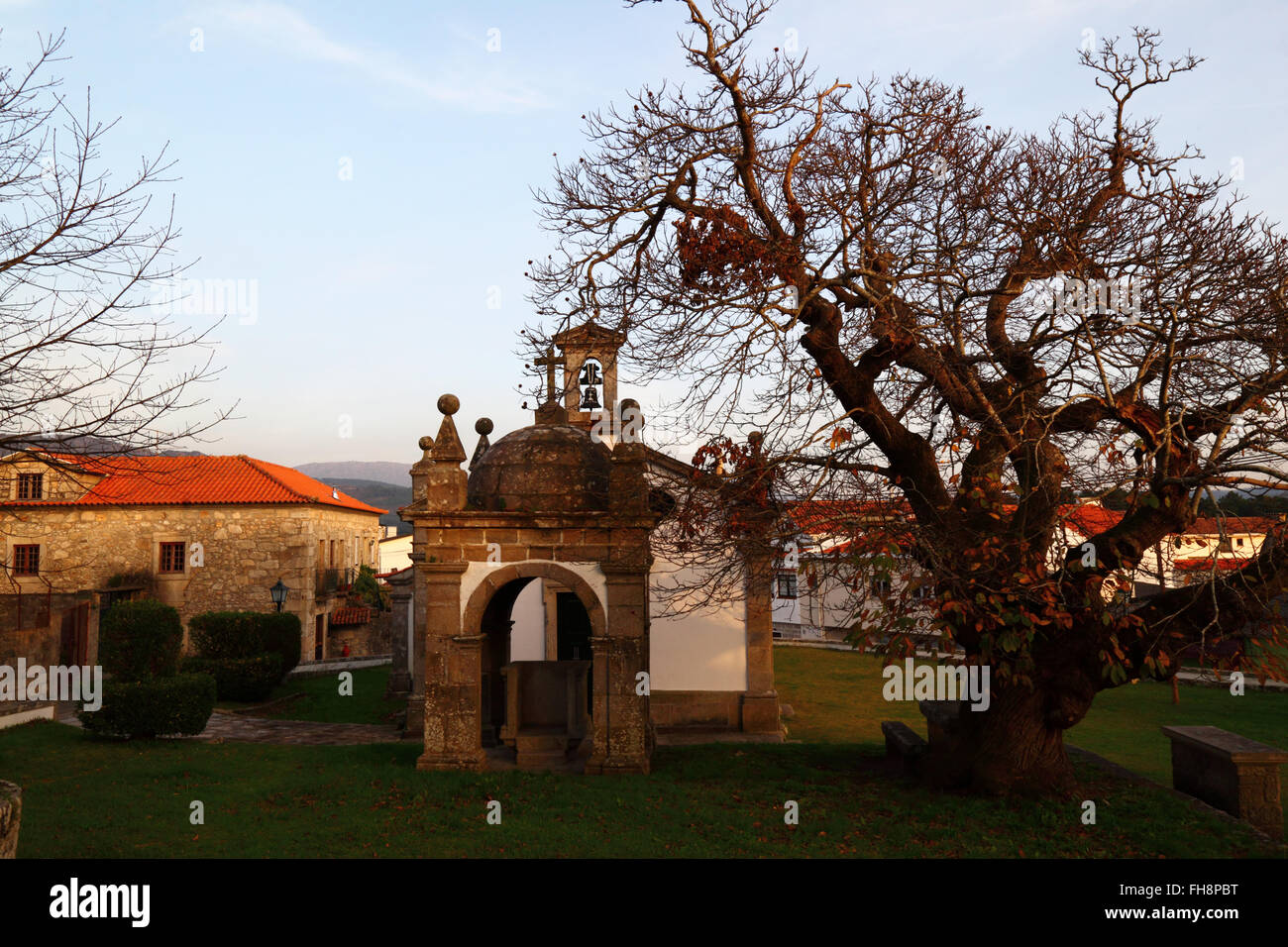 Church and old sweet chestnut tree (Castanea sativa) in winter, Vila ...