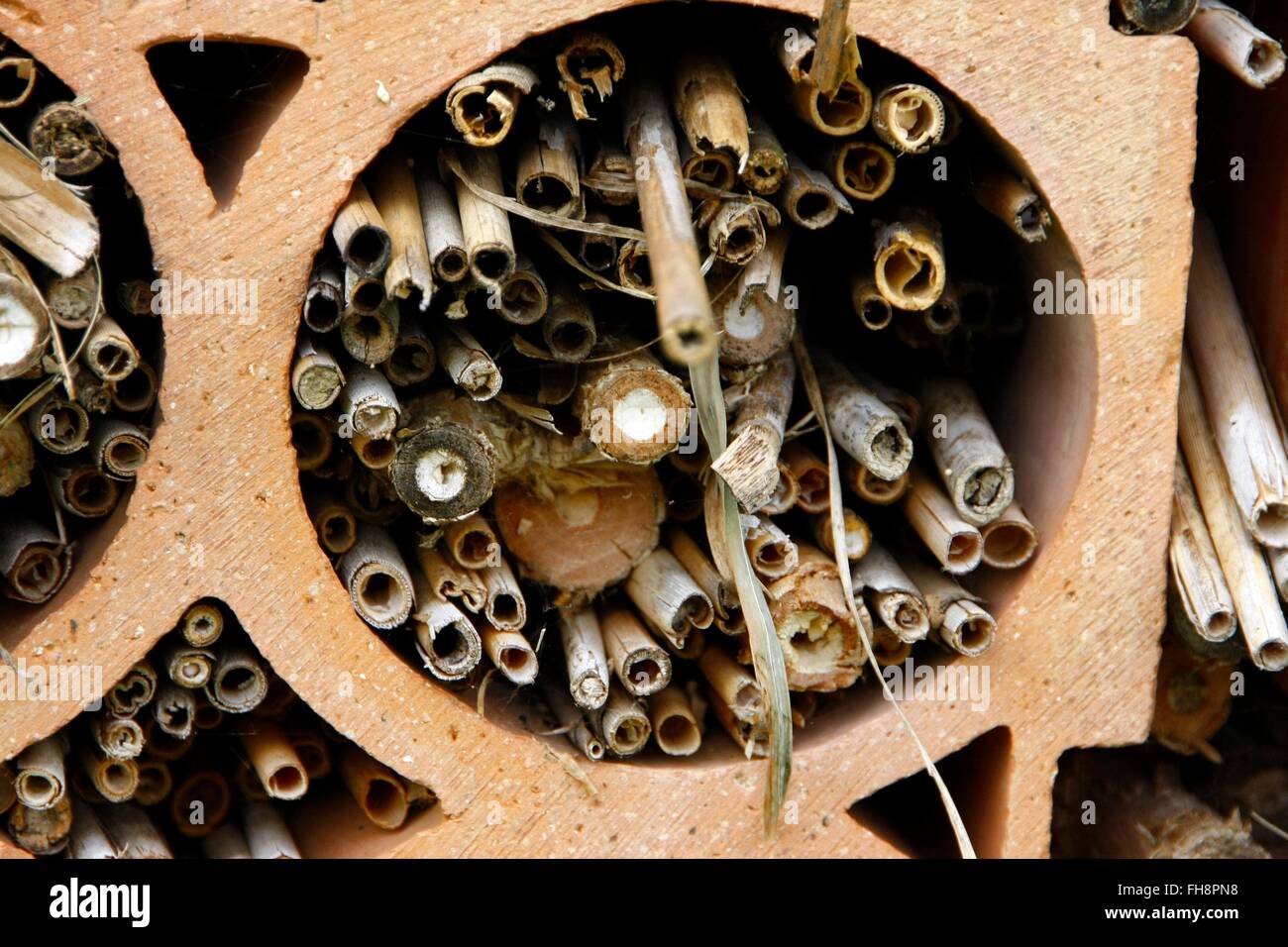 An insect hotel in Michelsrombach. Insect Hotels are built by natural ...