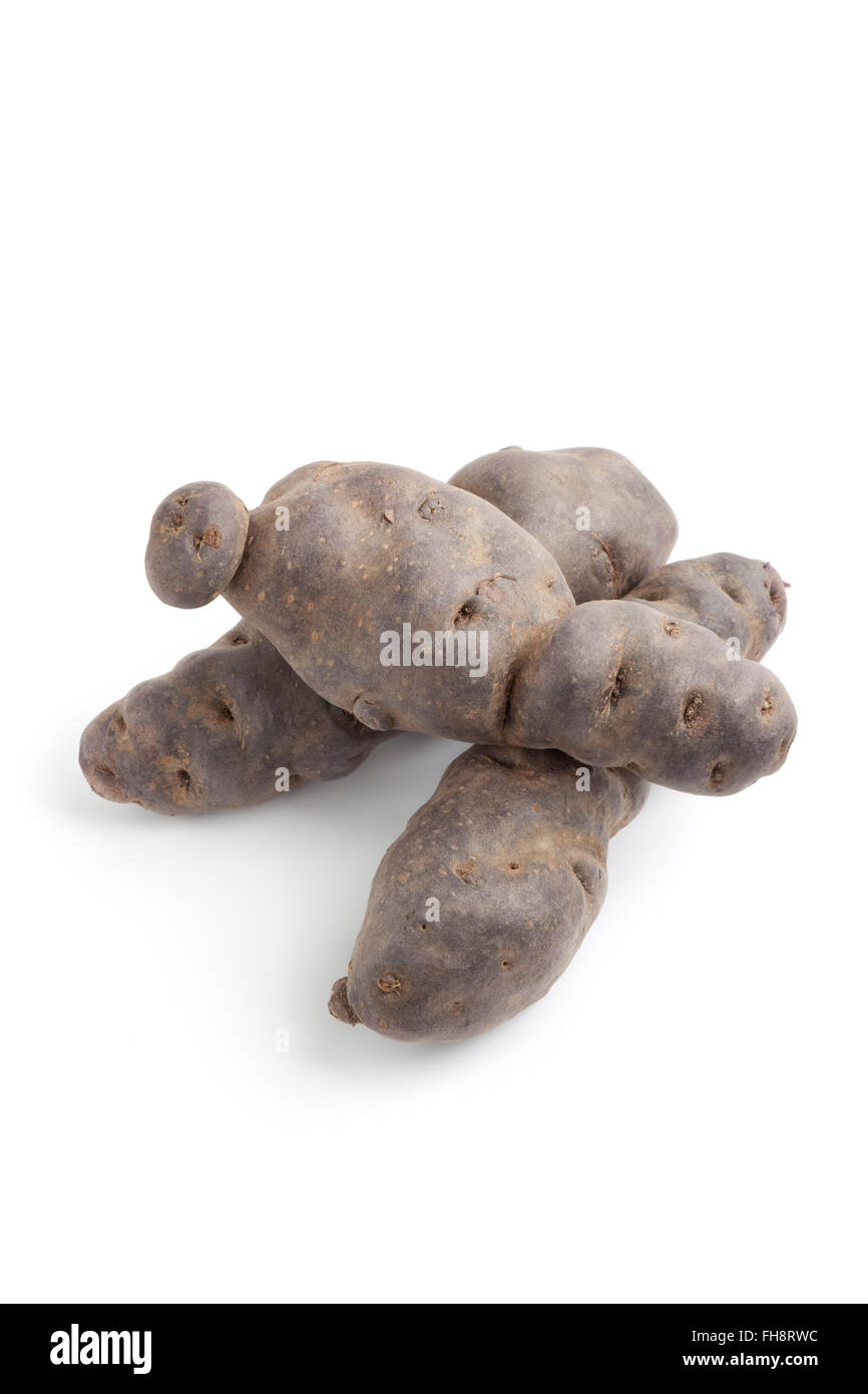 Whole fresh raw Vitelotte noir potatoes on white background Stock Photo ...