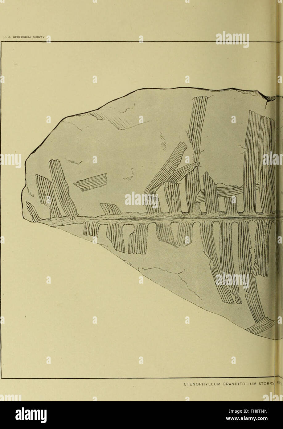 The 1898 annual report of the U.S. Geological Survey, presenting ...