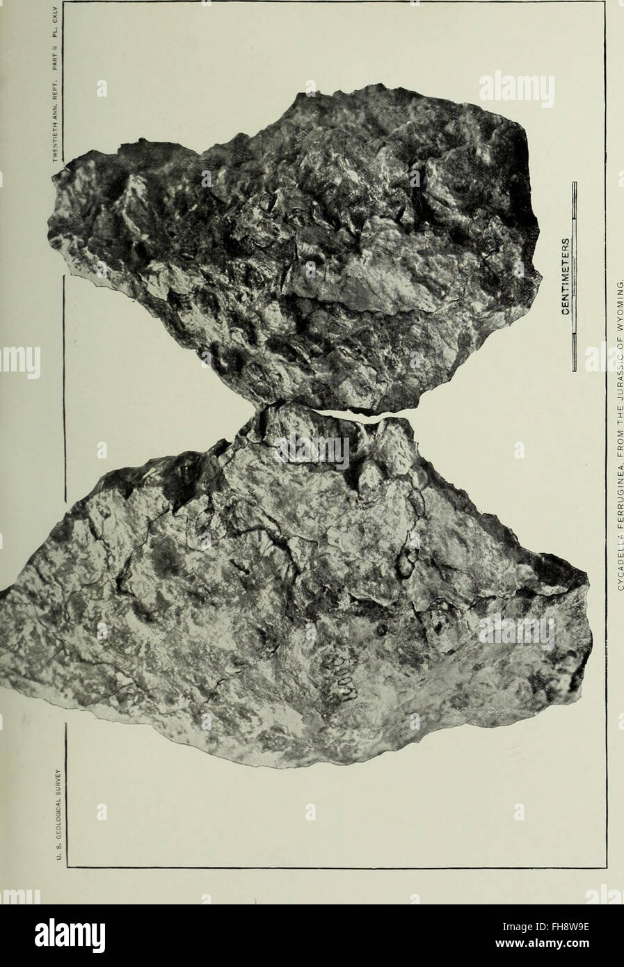 The annual report of the United States Geological Survey for 1898 ...