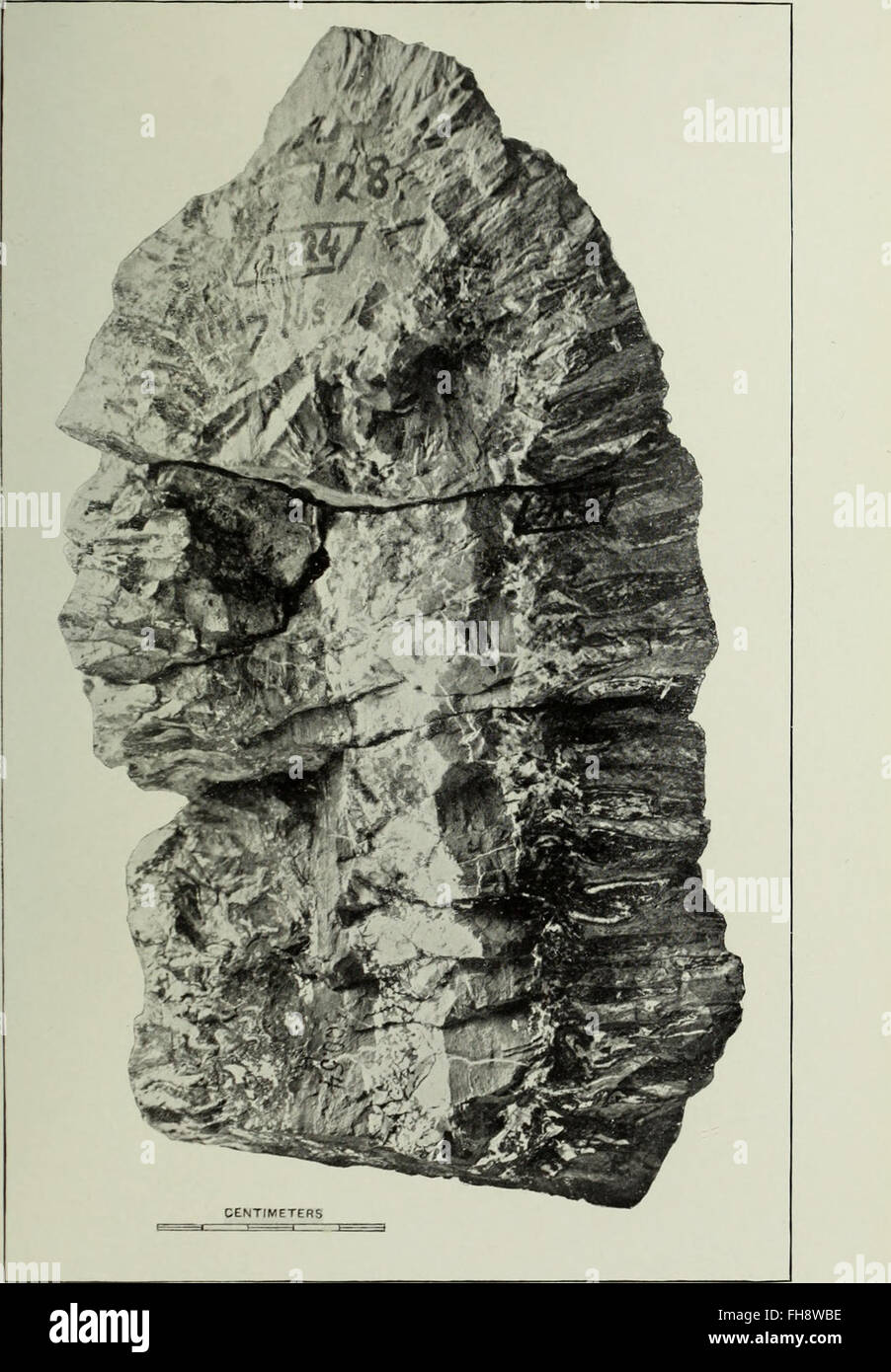 A 1898 government report detailing geological studies, surveys, and ...